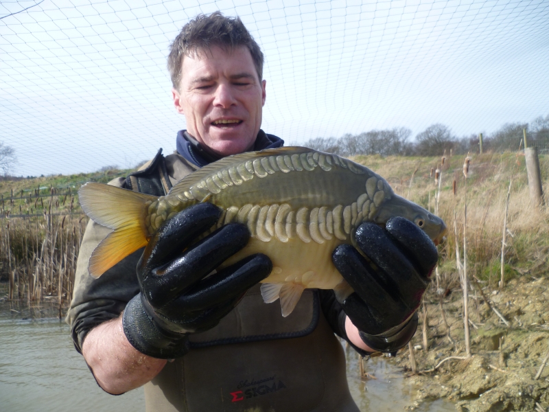 Galleries, Carp For Sale UK