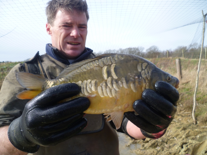 Galleries, Carp For Sale UK